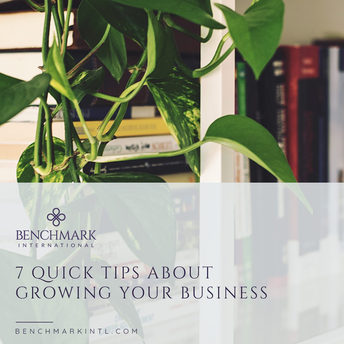 7 Quick Tips About Growing Your Business