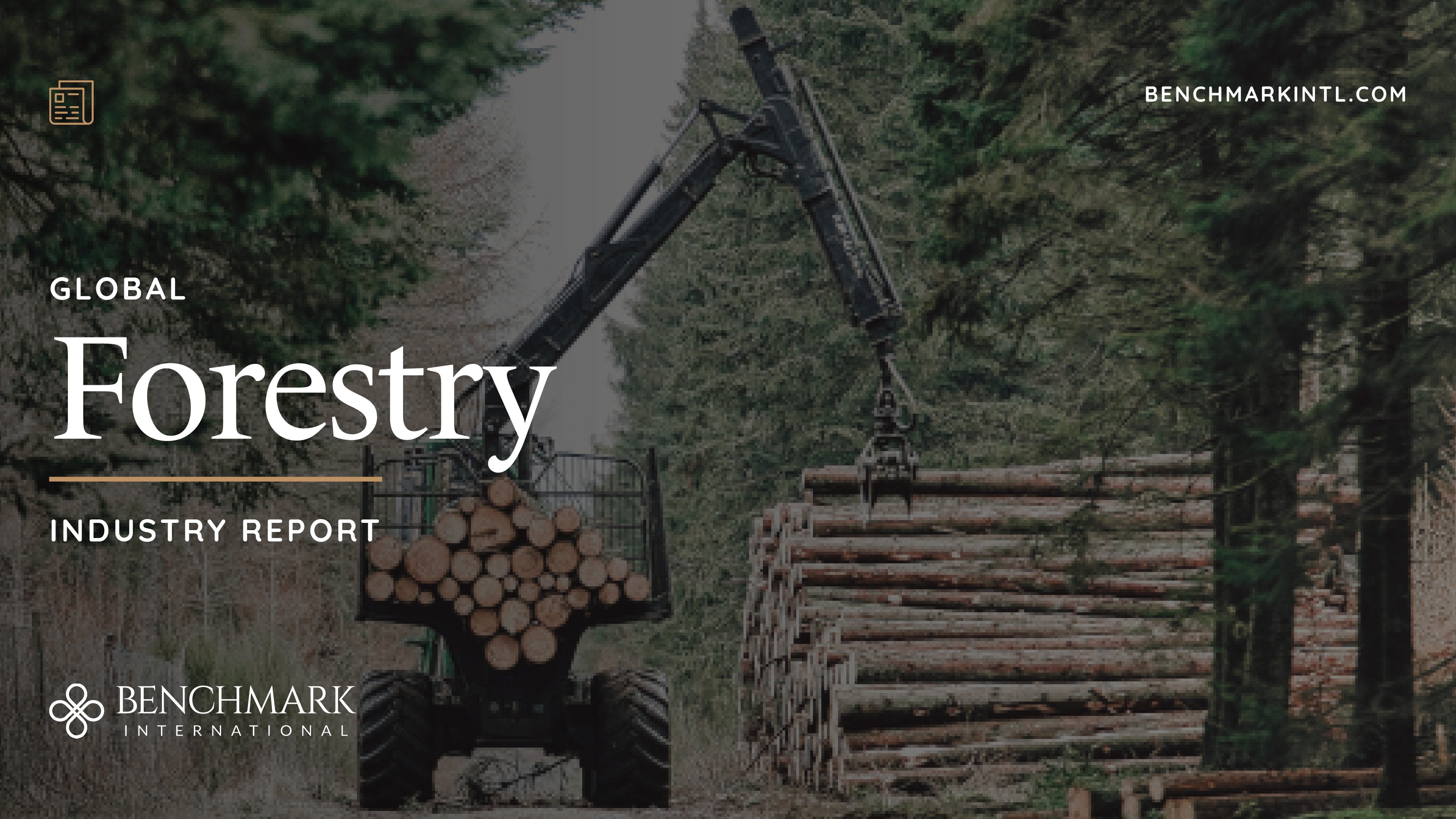 Forestry Industry Report