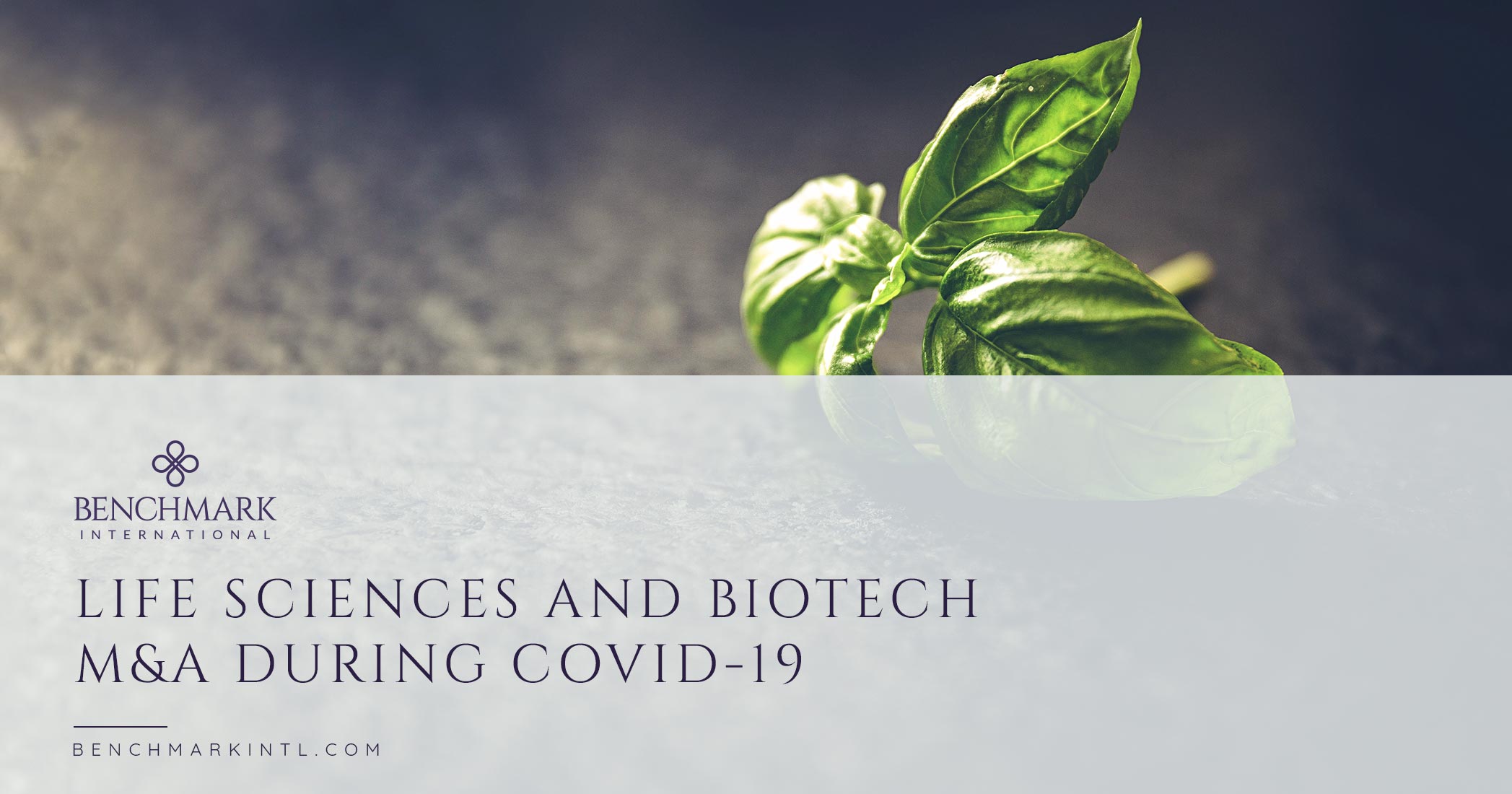 Life Sciences And Biotech M&A During Covid-19