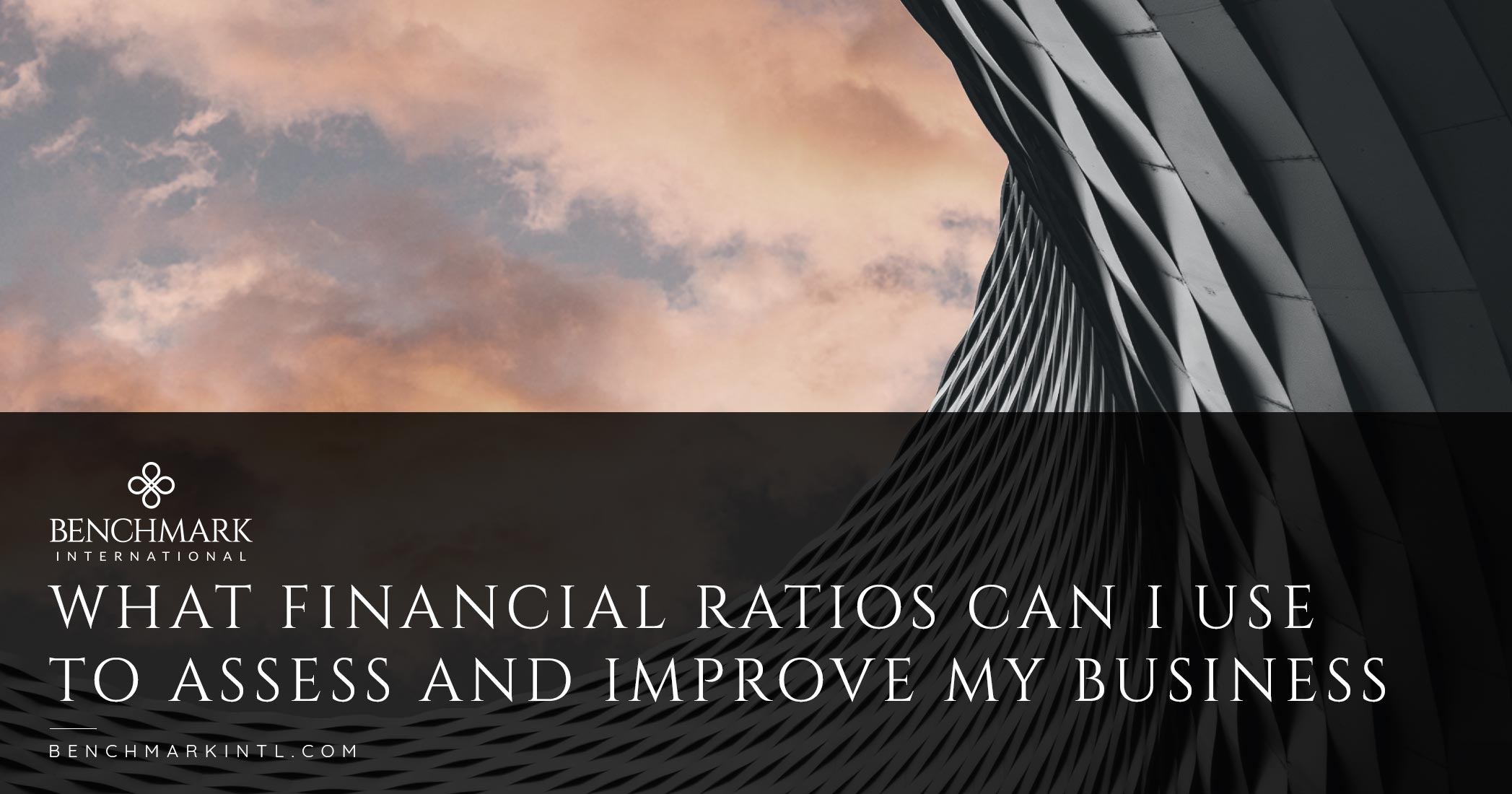 What Financial Ratios Can I Use to Assess and Improve My Business